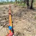 Multi-channel Analysis of Surface Waves (MASW) - Scurbat Geophysics