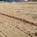 Multi-channel Analysis of Surface Waves (MASW) - Scurbat Geophysics